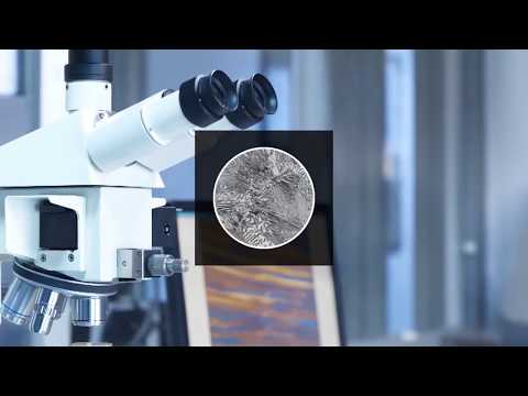 Metallurgical Microscopes - Metallographic Microscope Latest Price ...