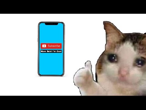 My First Video – Cat On Steroids – Anabolic Steroid Store