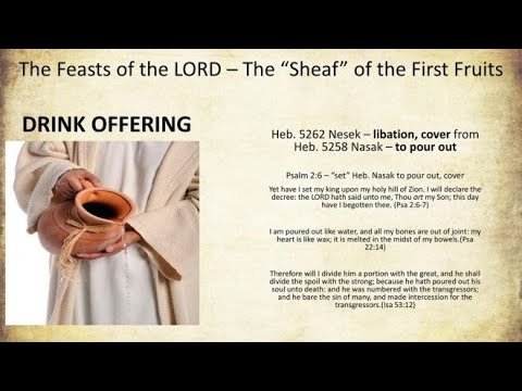 What is the drink offering all about Leviticus 6 and 7 tzav part 1