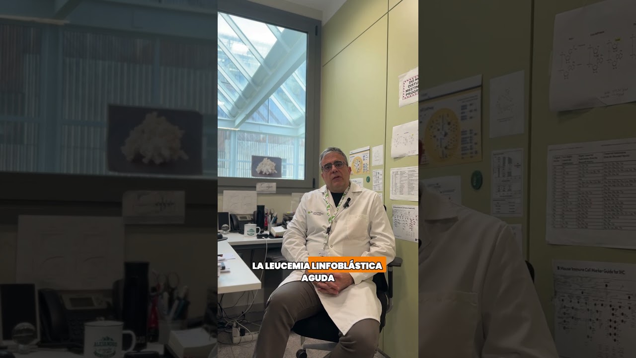 Un avance clave en la investigación de la #leucemia linfoblástica aguda de células B 🔬