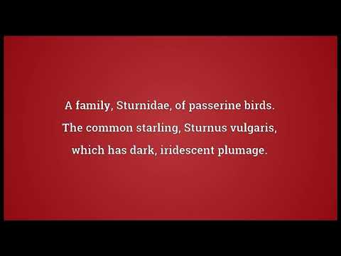 starling meaning in English