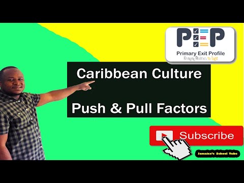 Push and Pull Factors- Chinese and Indians