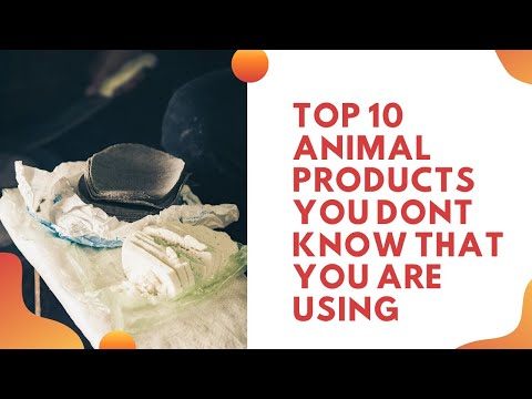 Top 10 Animal products You Dont know that you are Using