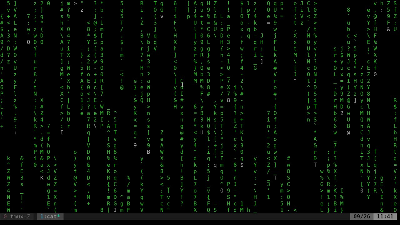 15 Matrix in your Shell with cmatrix and recording it to a file