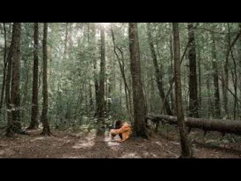 WHAT DOES IT MEAN TO DREAM WHEN YOU'RE LOST