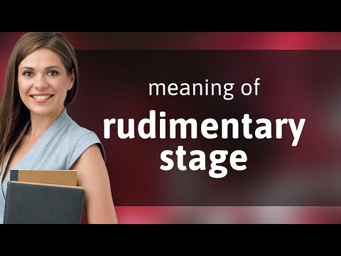 Understanding the Phrase "Rudimentary Stage"