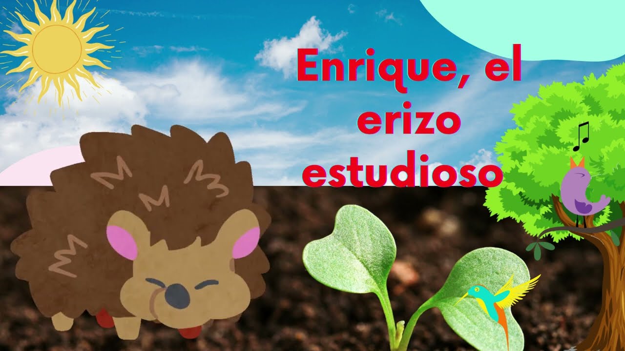 Enrique, el erizo estudioso
