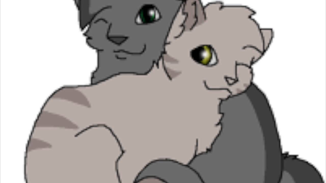Graystripe/Silverstream/Millie rant