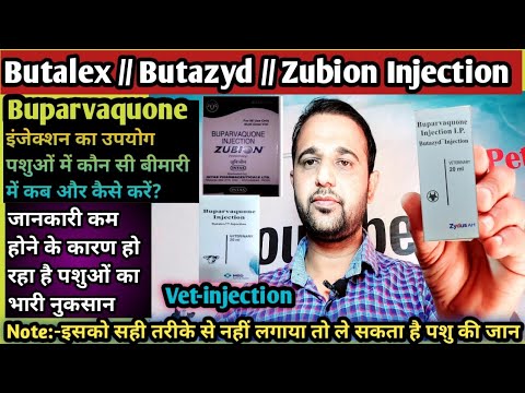 Buparvaquone Injection - Butalex Injection Latest Price, Manufacturers ...
