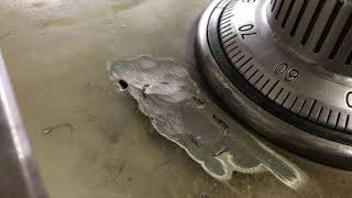 3 Best Locksmiths in Springfield, IL - Expert Recommendations