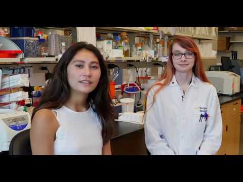 Echo Fine Properties Presents: Scripps Research Institute Graduate Program