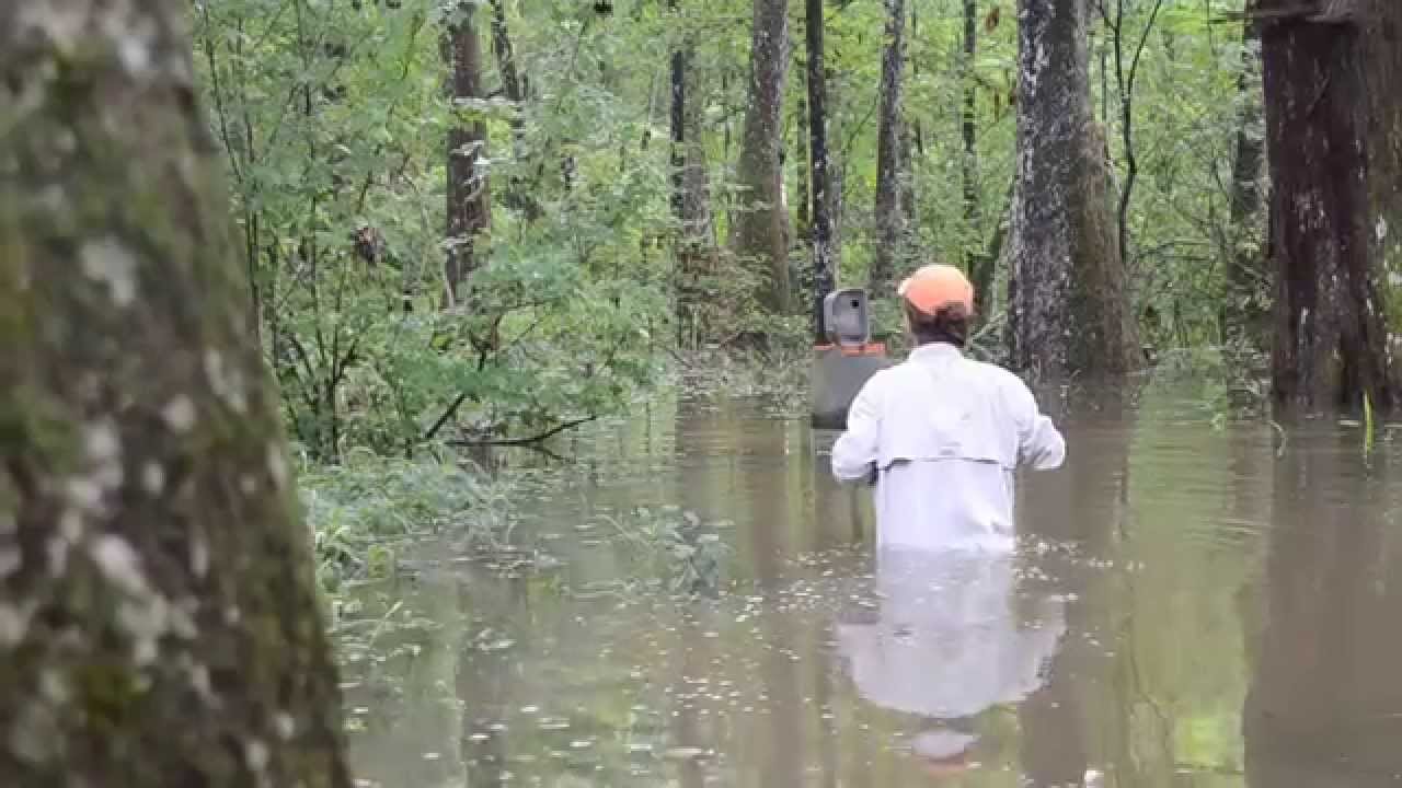 PROW nest box wading Dr. Erik Johnson