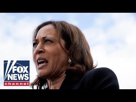 'Nothing to show for it': Harris' billion-dollar campaign accrues $20 million in debt