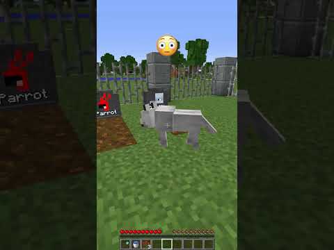 Sad Dog Facing Harsh Reality vs Solution Emoji Reaction #shorts #meme #minecraft