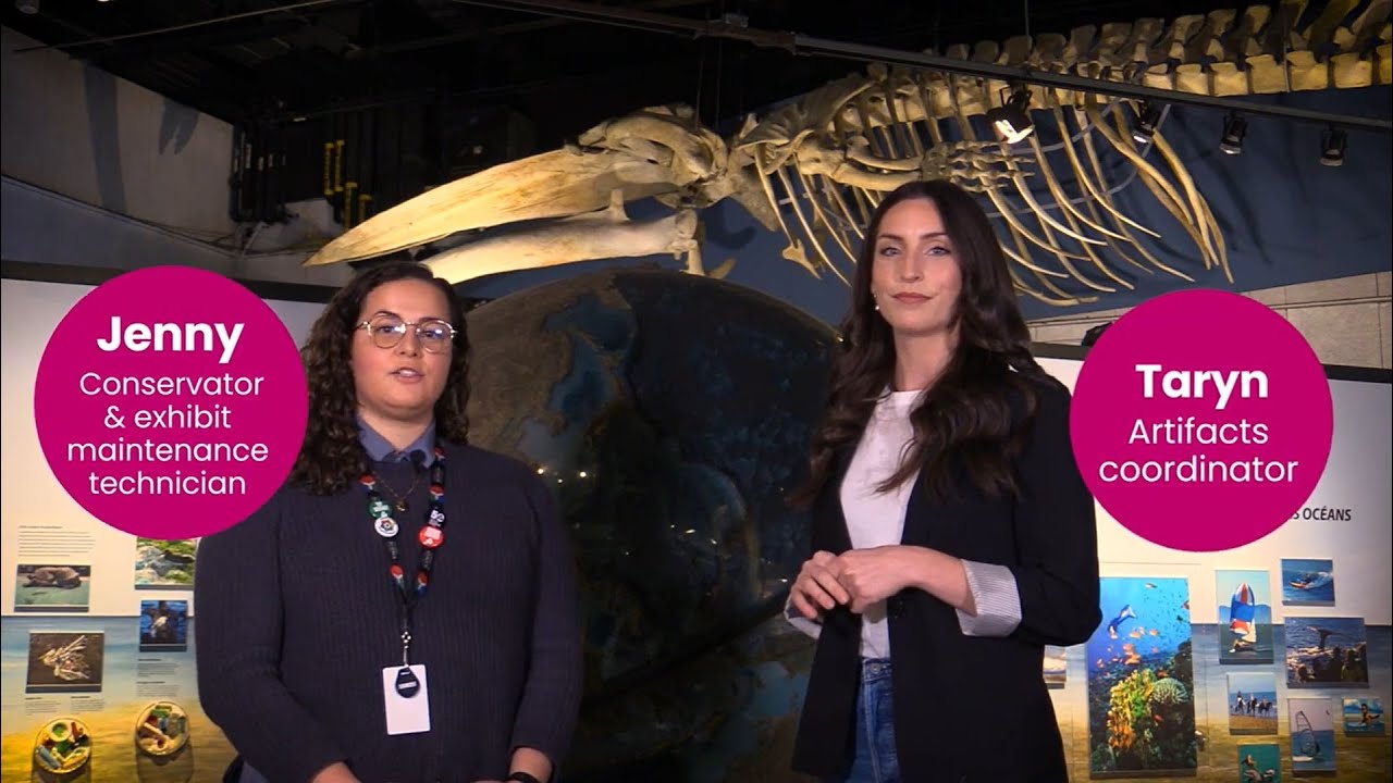 Get to Know Our Fin Whale Skeleton