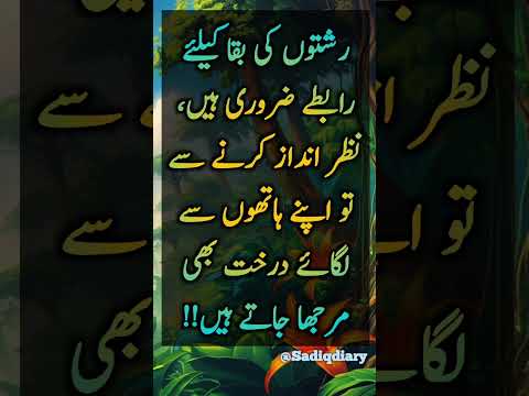 Rabta, The Urdu Quote That Explains Everything