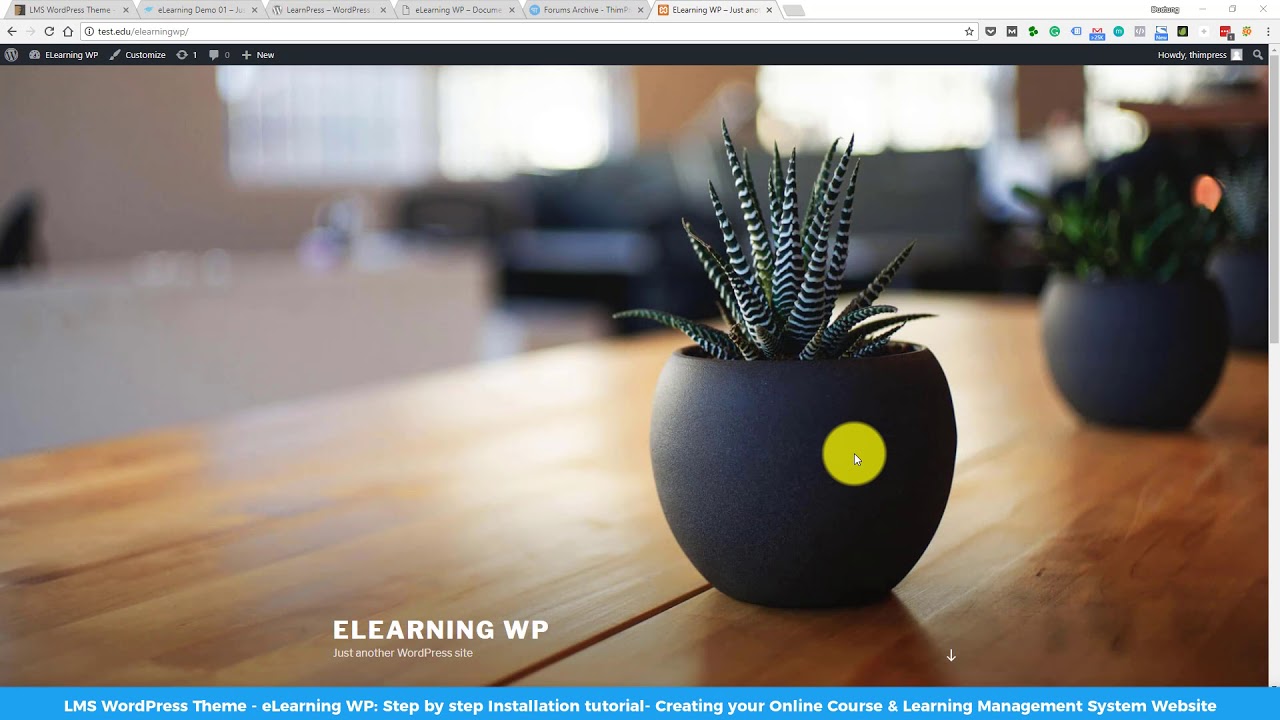 ElearningWP WordPress LMS Theme Installation Tutorial