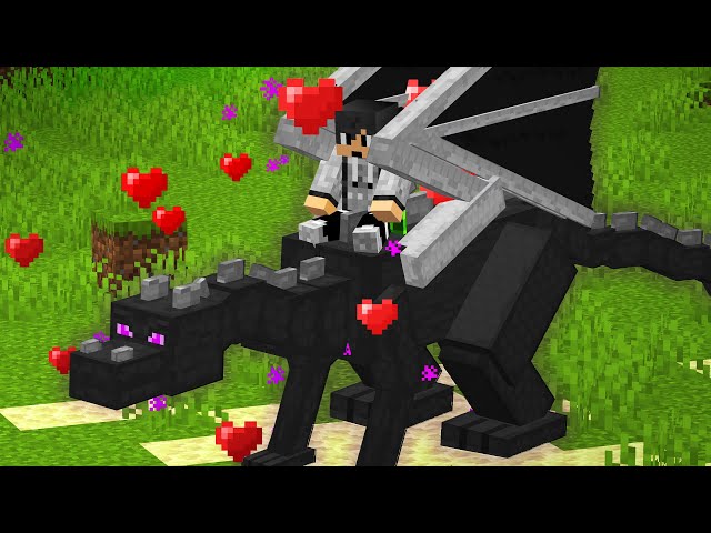 RIDEABLE TAMED ENDER DRAGONS [FLYING 1.20+] Minecraft Data Pack