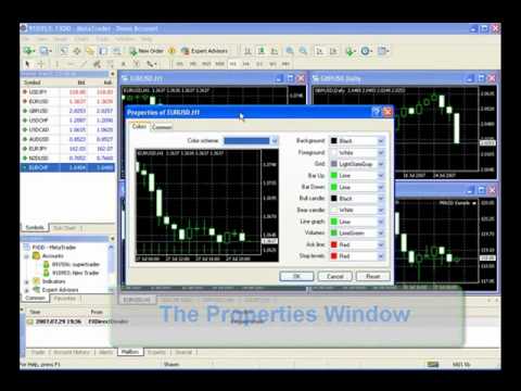 How To Use MetaTrader 4 | Pips Profit Model | Review & Bonus Instructions