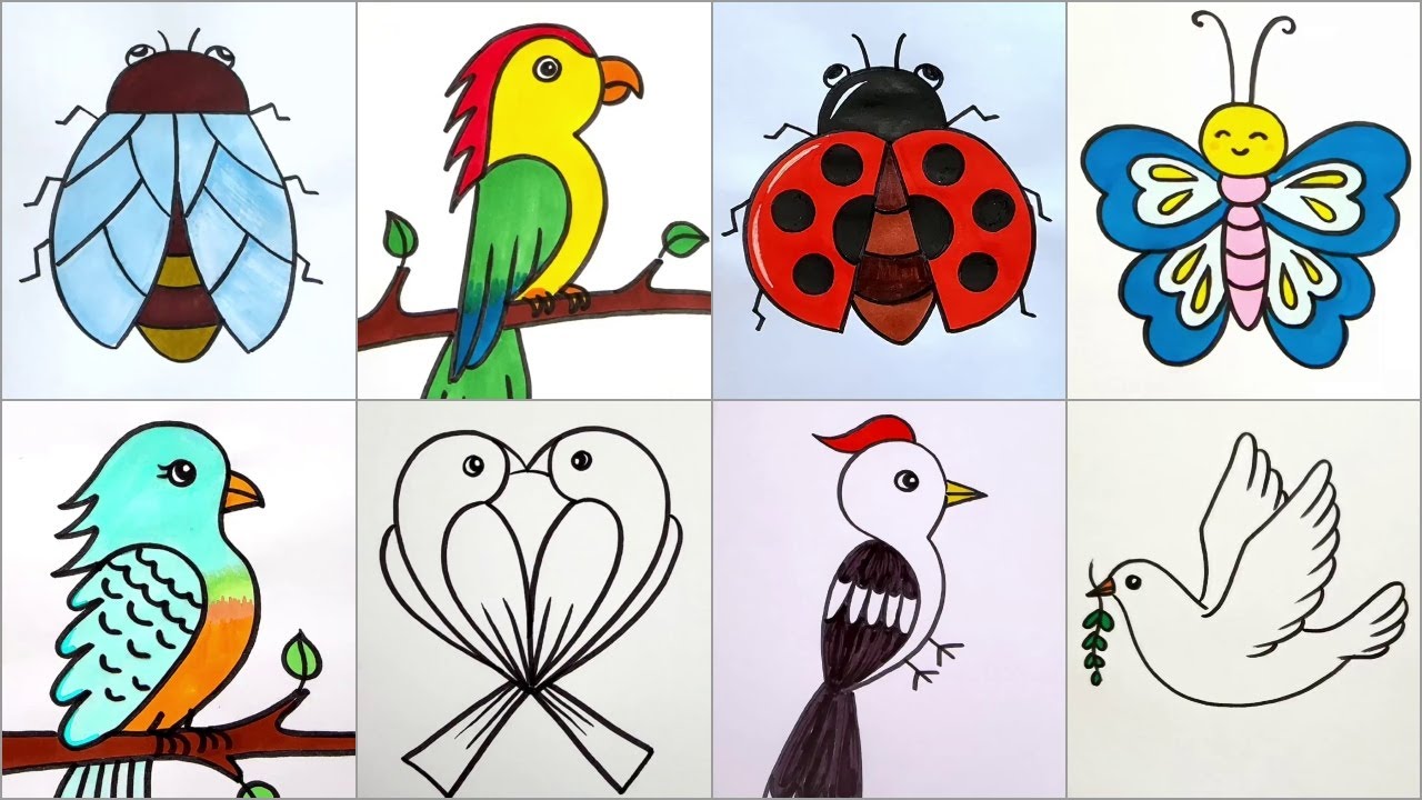 Creative Bird and Insect Drawings | Step by Step Tutorial for Fun Art Projects