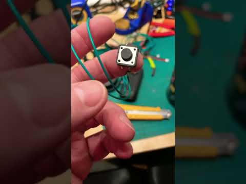 Tactile Momentary Switch