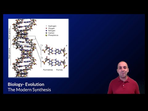 K-Bio Evolution 3: The Modern Synthesis