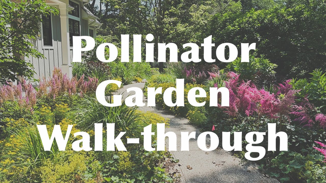 How Does a Native Garden Look After 3 Years?