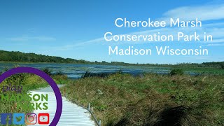 3 Best Hiking Trails in Madison, WI - Expert Recommendations
