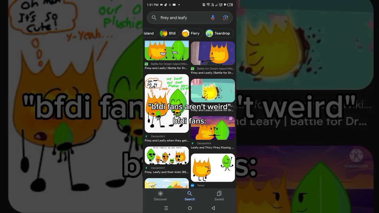 bfdi fans: #bfb #bfdi #fireafy #cringe @_-happy_kind_four-_