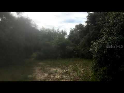 Lots And Land for sale - PETES LANE, Davenport, FL 33837