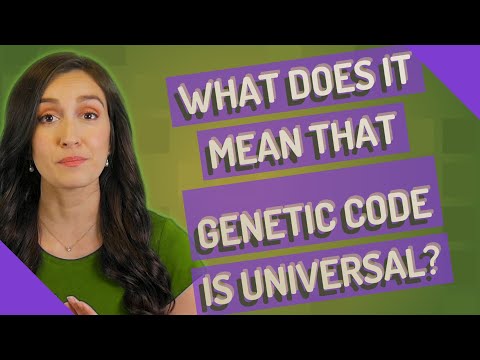 What does it mean that genetic code is universal?