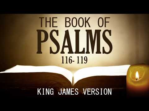The Book of PSALMS 116 to 119 - King James Version - Audio Bible - KJV