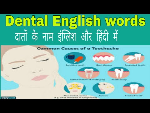 Dental English words Hindi to English