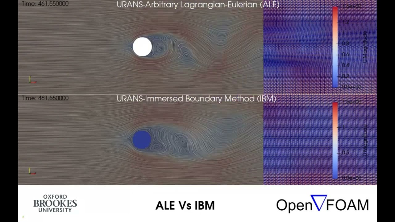 Arbitrary Lagrangian-Eulerian (ALE) method and the Immersed Boundary Method (IBM)-OpenFOam
