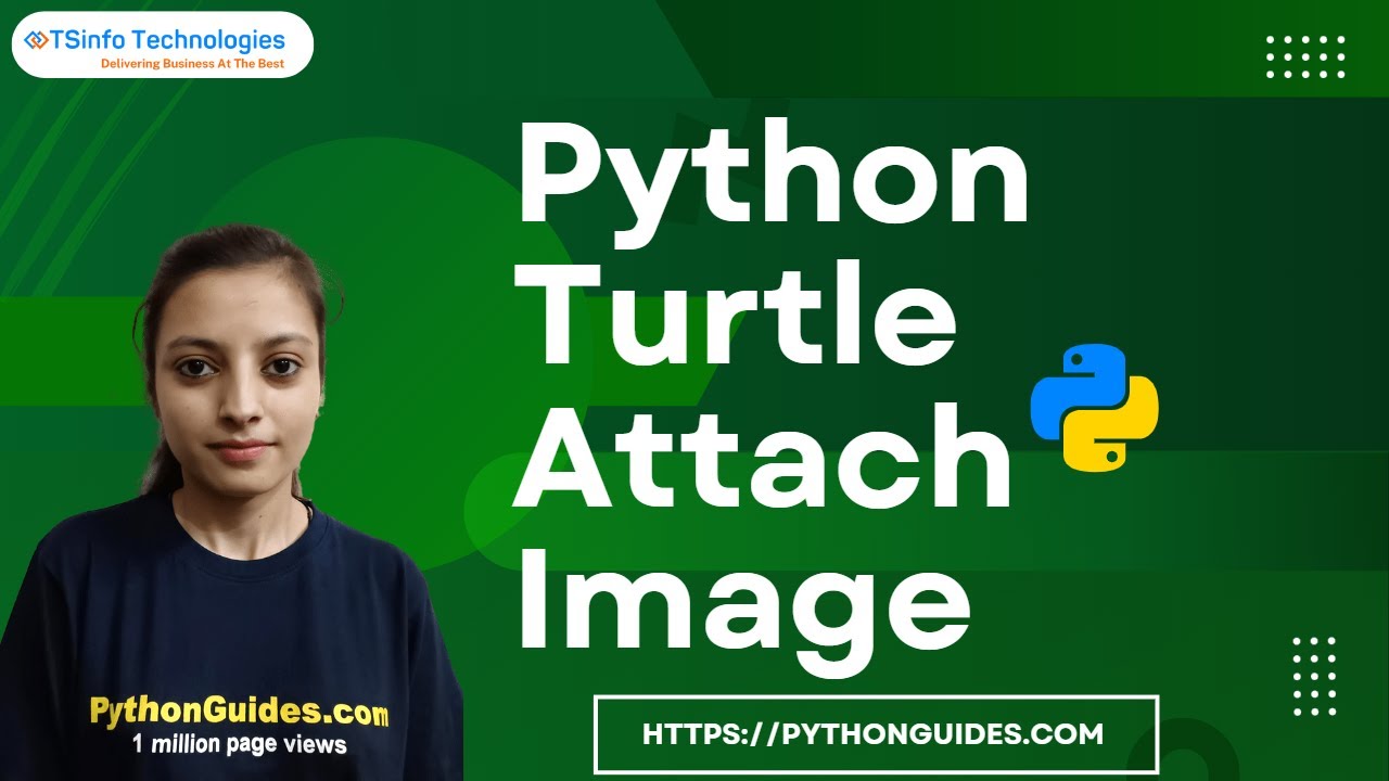 How to attach image in python turtle | Python Turtle attach Image