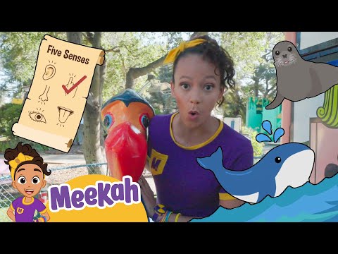 Meekah's Wonderful Whale Meeting! | Meekah Full Episodes | Educational Videos for Kids