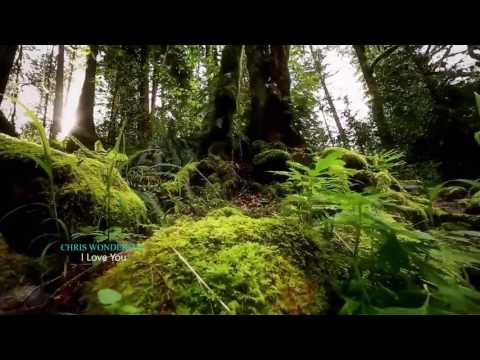 Chris Wonderful-I love you
