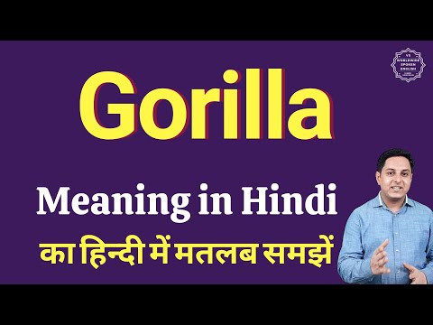 Gorilla meaning in Hindi | Gorilla ka matlab kya hota hai