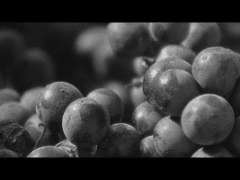 Northwest Grown: History of Oregon wine decanted in McMinnville