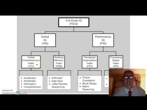 Overview of Wechsler Intelligence Tests
