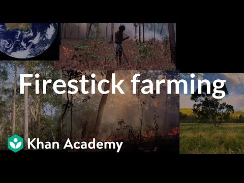 Agricultura de quema en Australia temprana (video) | Khan Academy