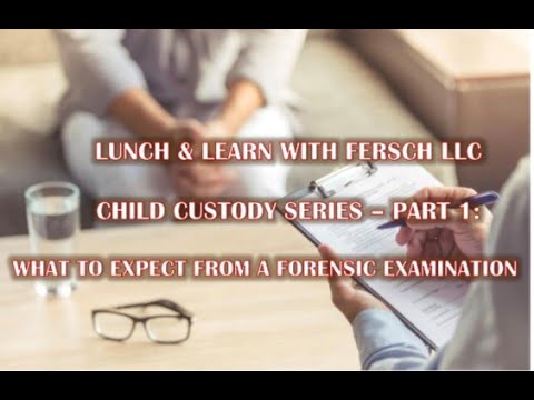 Child Custody Series Part One