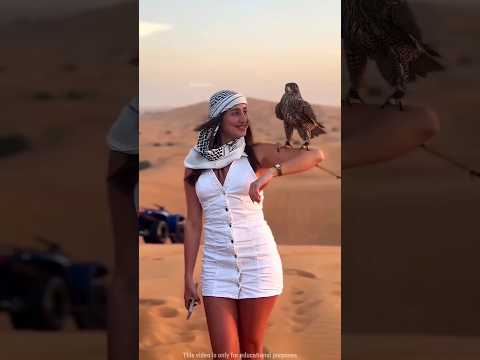 The Sheikhs of Dubai are really kind-hearted #shortsfeed