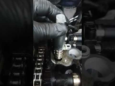 GM, LEA - 2.4 L engine with codes P0010,P0011.