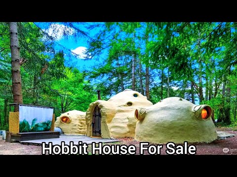 Washington Homes For Sale | Private Beach | 1+ acre| Strong Airbnb Income| Cal Earth | Hobbit Houses