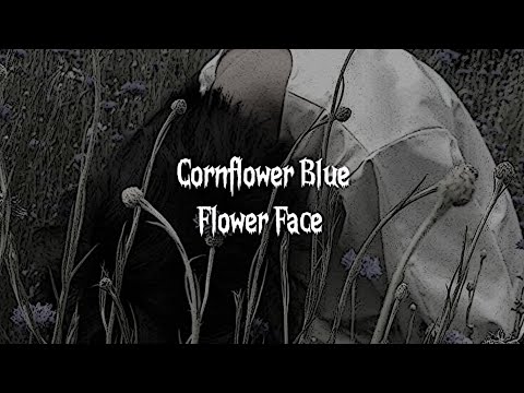 Cornflower Blue - Flower Face | Lyrics Video