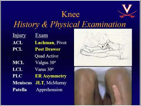 Miller's Orthopaedic Lectures: Sports 1
