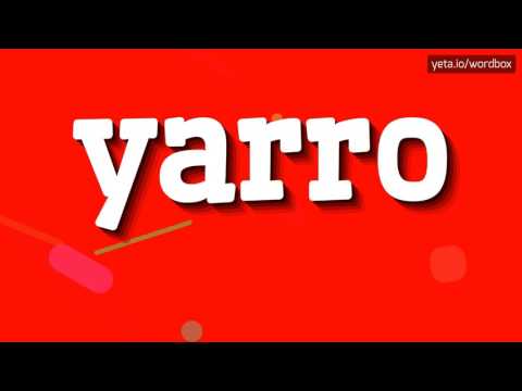 YARRO - HOW TO PRONOUNCE IT!?