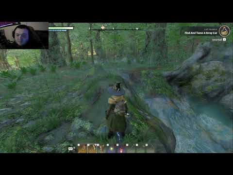 Enshrouded: Raw game meat guide