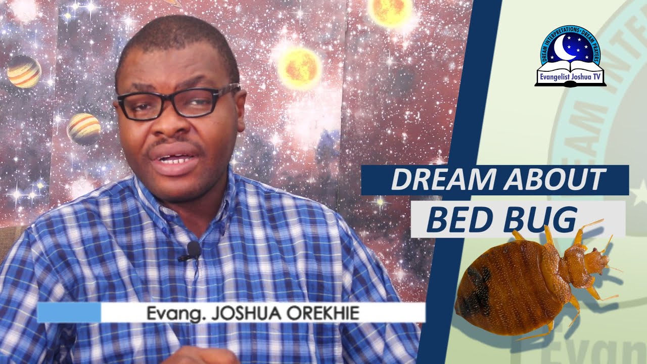 DREAM ABOUT BED BUGS - Biblical Dream And Spiritual Meaning